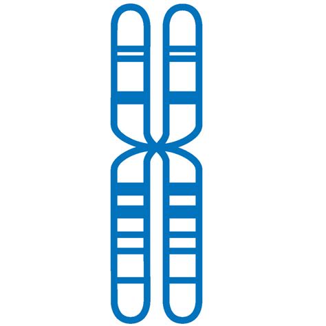 Beginners Guide To Genetics Gene People