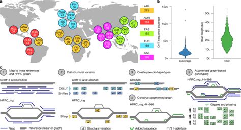 Comprehensive Analysis Of Structural Variants And Inversions In Human Genomes Using Long Read