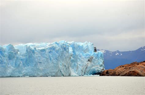 Glaciar Perito Moreno El Glaciar Perito Moreno Es Una Grue… Flickr