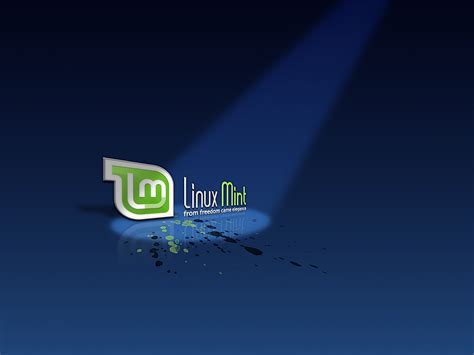 Linux Mint Wallpaper Hd Elegant How To Change The Linux Mint Cinnamon Keyboard Shortcuts