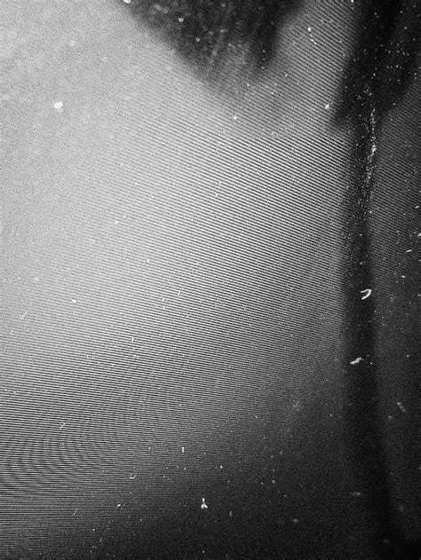 其中包含以下圖片：