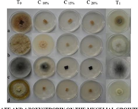 Figure 1 From Antifungal Activity Of Banana Rachis Leachate On Some Fungi Responsible For Banana