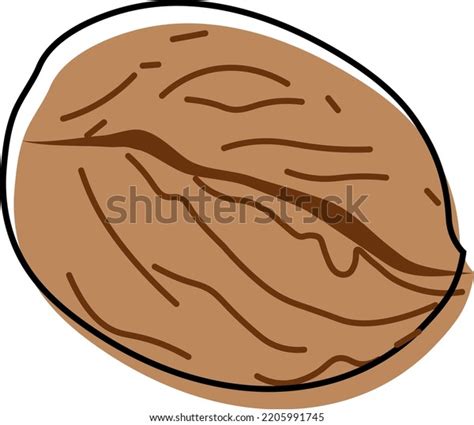 Allelopathic Tree Más De 2 Ilustraciones Y Dibujos De Stock Con Licencia Libres De Regalías