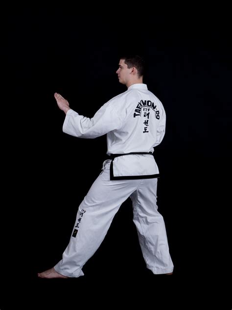 Sonkal Taekwon Do Itf