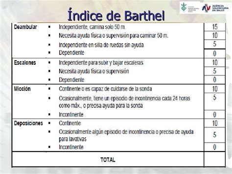 Índice De Barthel Evaluación De La Dependencia