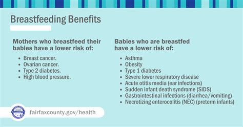 Finding Support For Infant Nutrition And Breastfeeding Families Health