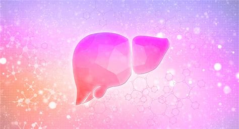 Focal Nodular Hyperplasia Liver Doctor