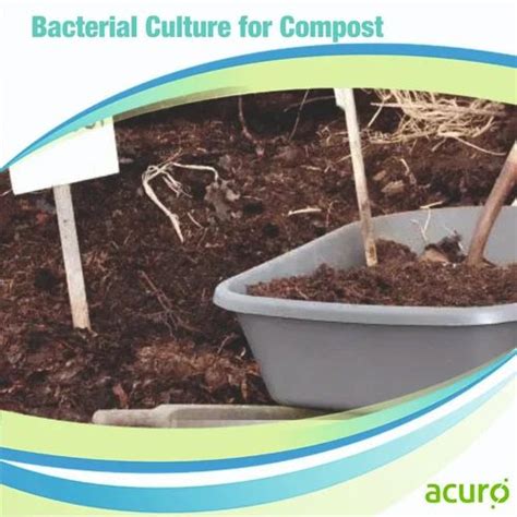 Bacterial Culture For Compost At Rs 600kg Agricultural Chemical In