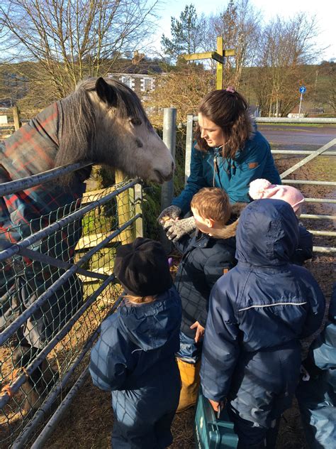 What Will The Nursery Find On A Beattock Primary School Facebook