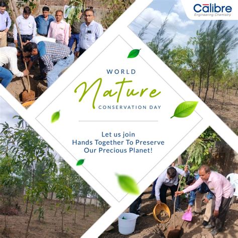 Divy Gala Posted On Linkedin