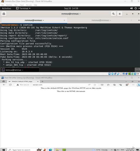 Flare Vm — Windows Malware Analysis By Whoami Medium