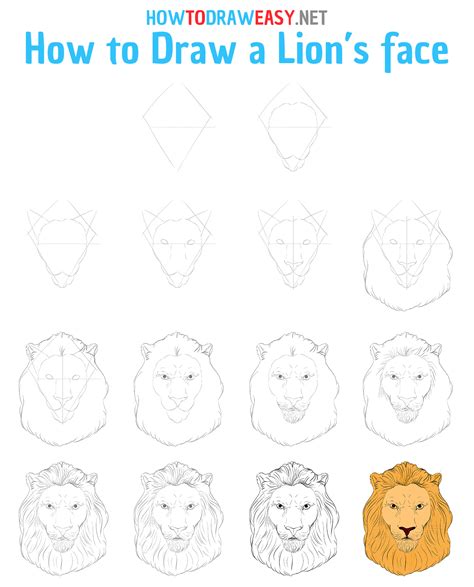 How To Draw A Lion Head Profile