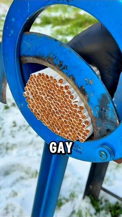 A Gay Couple Jeremiah And Timothy😭😂 Funny Shorts Facts Youtube