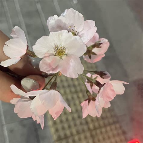 김진주 로켓펀치