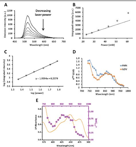 Figure 3 From Two Photon Spectroscopy And Microscopy Of The Fluorescent