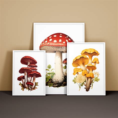 Mushroom Print Bundle Mushroom Prints Set Of 6 Botanical Guide Wall