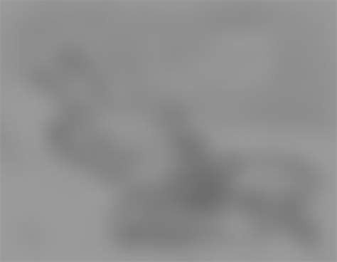 Chat With Pervy Step Brother Ezra