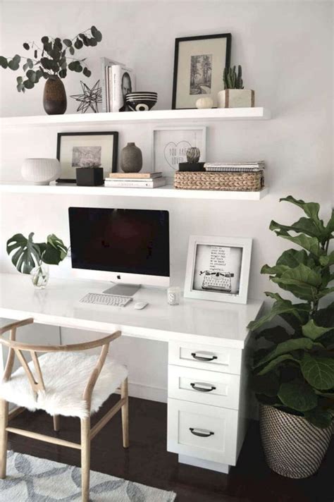 Plant Decor Ideas That Freshen Up Your Space The Classy Home