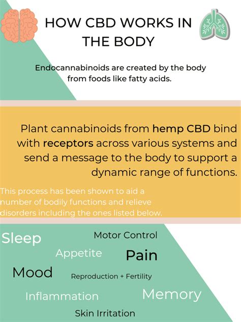 Cbd Oil For Gastrointestinal Disorders Cbdmarket