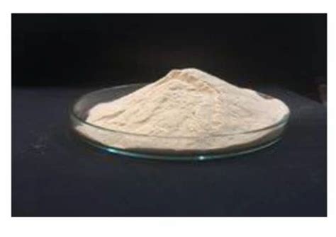 Peptone Bacteriological Powder Pharmaceutical At Best Price In Navi Mumbai