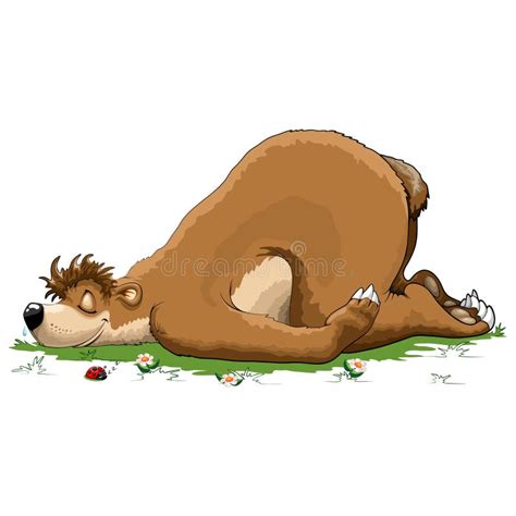 Oso Perezoso Durmiendo Entre Flores Y Una Hermosa Mariquita Vector