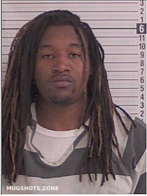 Lowe Cedric Michelle 03162024 Bay County Mugshots Zone