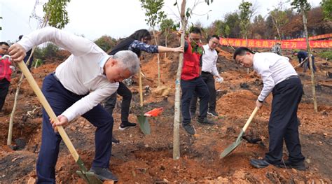 陈金銮参加 人大代表林”植树活动 做好管护后半篇文章 扎实推进绿美清远生态建设 清远市人大网（新） Info9000217465