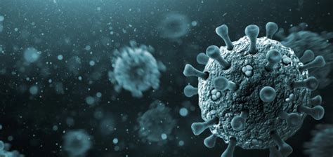 Ai Tool Can Help Predict Viral Outbreaks