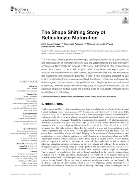 Pdf The Shape Shifting Story Of Reticulocyte Maturation