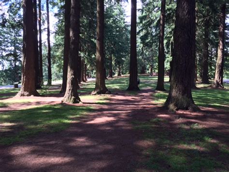 Tabor Summit Grass Rough And Rede Ii