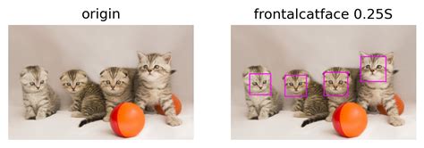 【python】15行代码实现猫脸检测（opencv）猫脸识别系统python Csdn博客