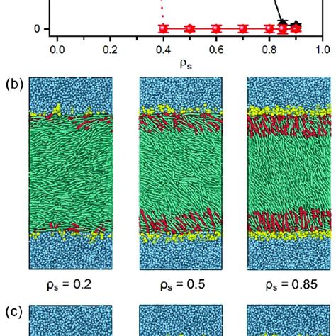 A Tilt Angle Of Mesogens At The Aqueous Lc Interface As A Function Of Download Scientific
