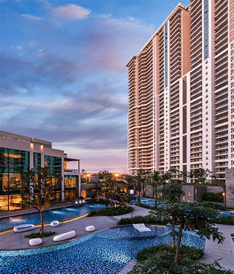 The Camellias Dlf Camellias Camellia Apartment Gurgaon