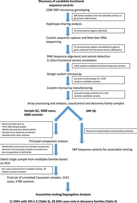 Workflow For Sequence Variant Discovery And Analysis Only Ethnicity Download Scientific