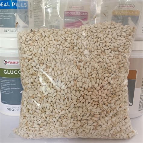 Safflower Seeds Repacked In 250 Grams 500 Grams 1 Kilo Saff Flower Shopee Philippines