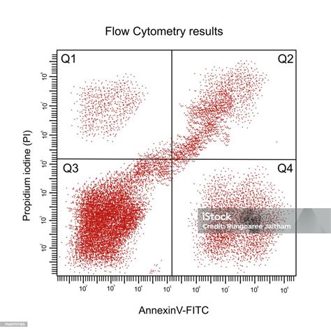 The Flow Cytometry Results Of Apoptosis Cell Separation In Each Stage