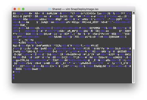 Virtualbox Acronis Bootable Media Seems To Have No File System Yet Boots Successfully In Vm