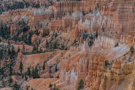 Lisbeth Norton 🌺🇵🇦🇺🇸 Lisbeth Norton • Instagram Photos And Videos