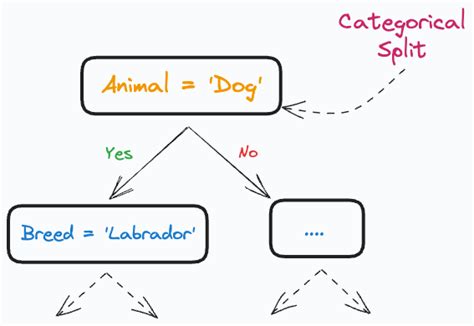 Is Categorical Feature Encoding Always Necessary Before Training Ml Models
