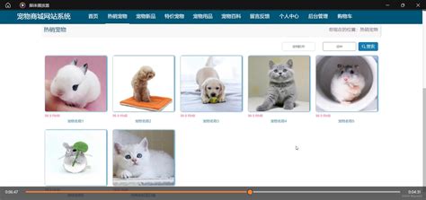 Ssmphpnodepython宠物商城网站系统 Csdn博客
