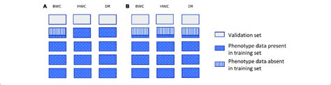 Data Used For St Gblup And Mt Gblup Prediction In Cv1 Each Box
