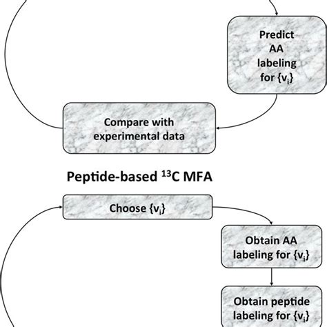 Schematic Representation Of The Algorithmic Differences Between The