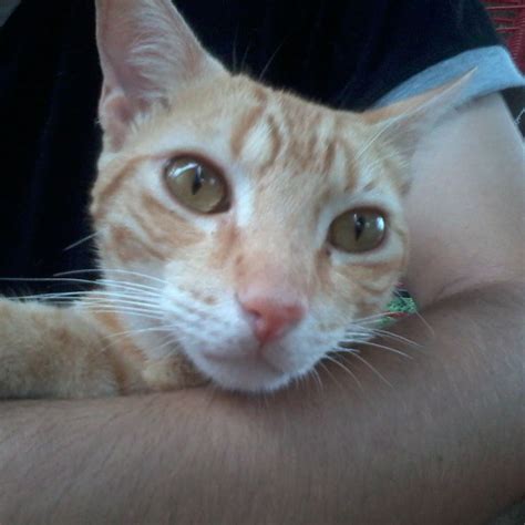 ‎gdnas Profile • Letterboxd