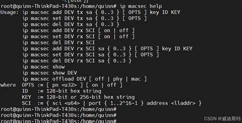 Linux网络命令:用于配置和管理媒体访问控制mac安全的命令ip Macsec详解linux Macsec Csdn博客 Linux网络命令:用于配置和管理媒体访问控制mac安全的命令ip Macsec详解linux Macsec Csdn博客