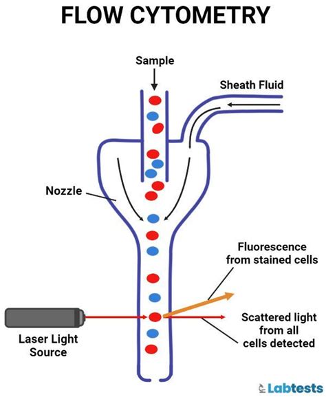 Fluorometer Principle Fluorometry Types Diagrams And Applications