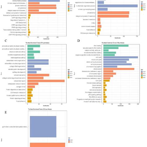 Function Enrichment Analysis Of Important Modules A Enrichment