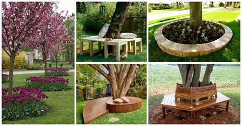 Landscaping Around Trees Ideas You Should Not Miss