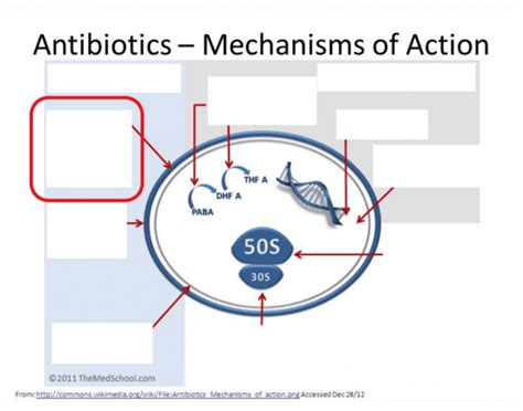 Antibiotics Moa Quiz
