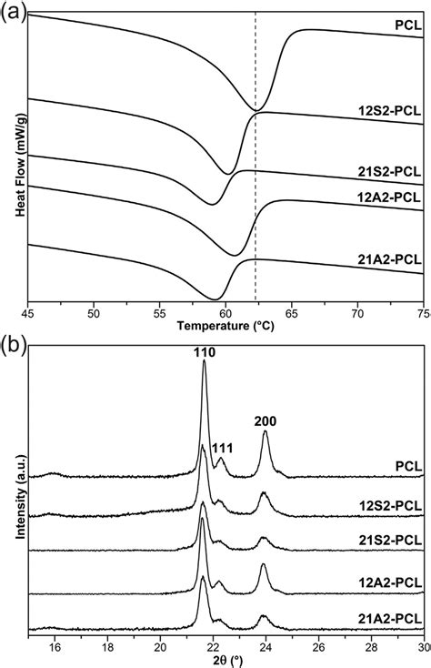 Dsc Thermograms A And Waxs Patterns B Of Pure Pcl And Sbg Pcl Films Download Scientific